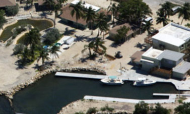 ArcGIS Web Application